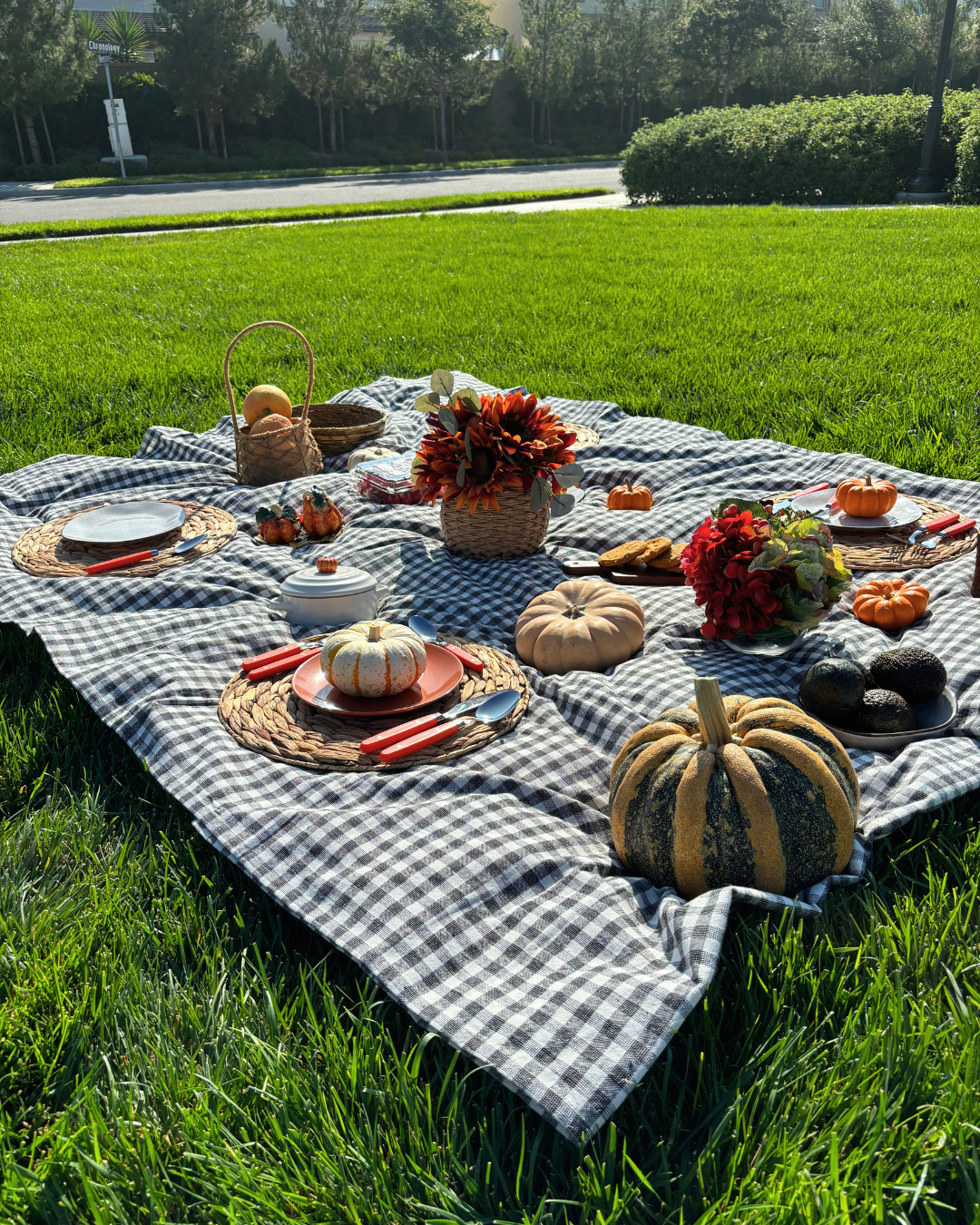 Fall Picnic Decor and Food Ideas: Make Your Autumn Outings Unforgettab ...